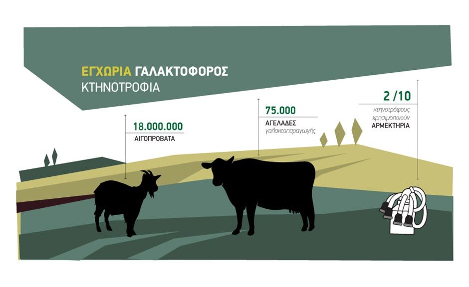Γενναία ανασυγκρότηση στην εγχώρια ζώνη γάλακτος ωθεί η υψηλή ζήτηση ...